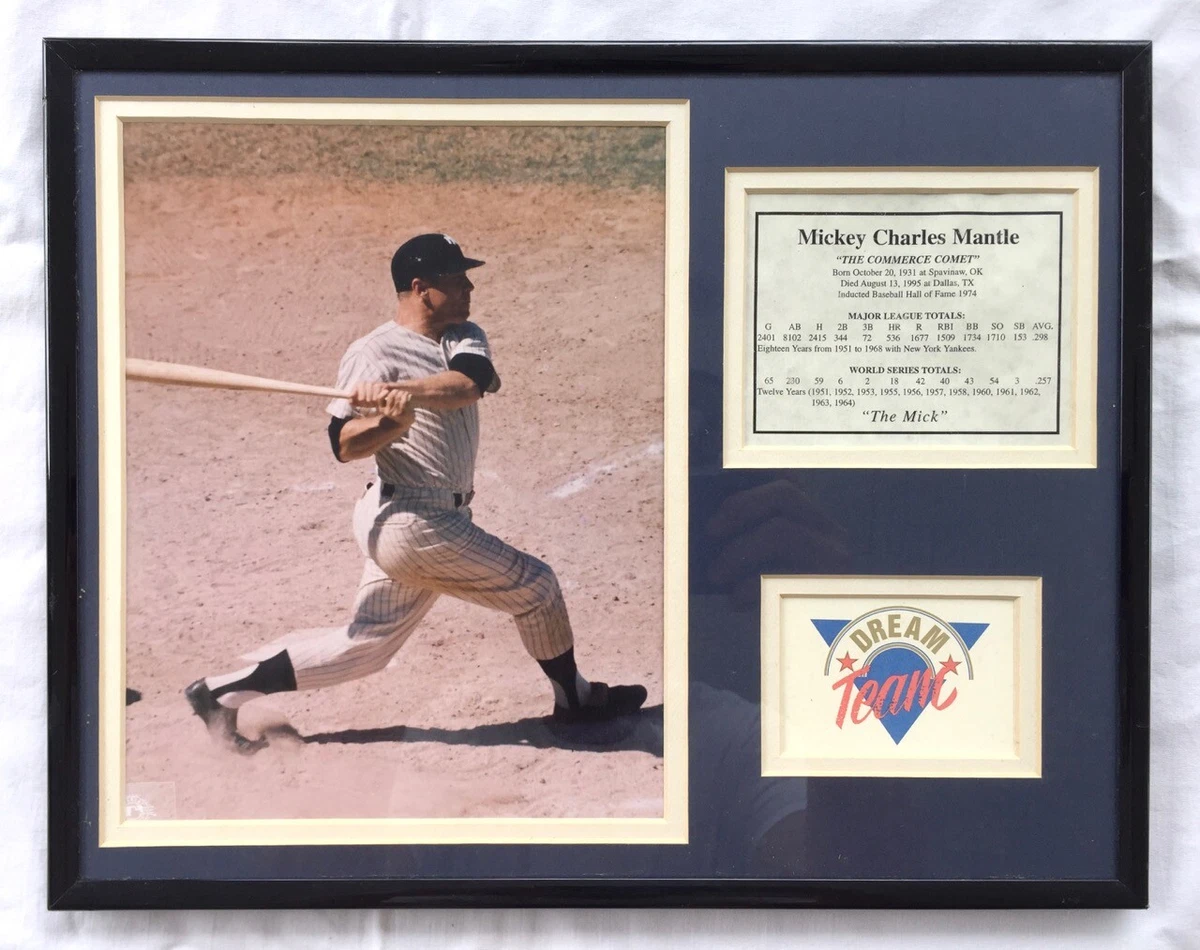 Dream Team Baseball Logo