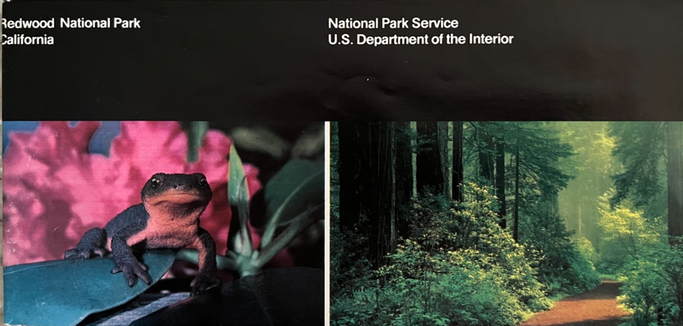 Vintage 1990 REDWOOD NP NATIONAL PARK SERVICE UNIGRID BROCHURE/GUIDE ...