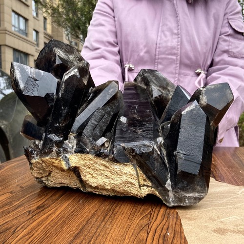 26.69LB High quality black crystal quartz cluster flower - rare ...