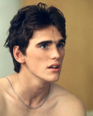 Matt Dillon Barechested teen rebel portrait The Outsiders 8x10 Color ...