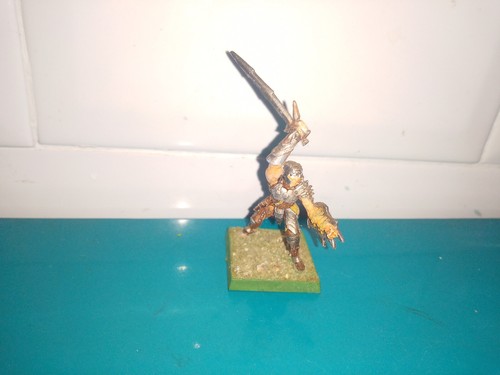 WOTC D&D Regdar Human Fighter Wizards of the Coast Advanced Dungeons ...