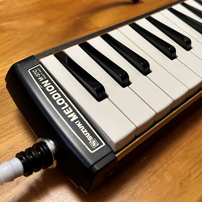 SUZUKI M-37C Melodion Alto Wind Keyboard Melodica Bundle Soft Case ...