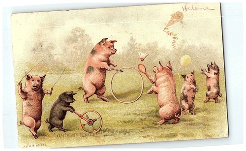 1903 Pigs & Badminton Balloon Flying Kite Hoop Wheel Jump Rope Postcard ...