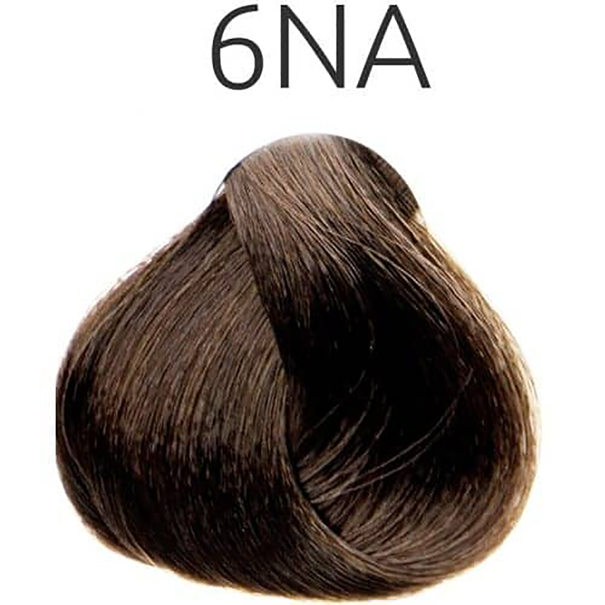 Goldwell Topchic 6NA Dark Natural Ash Blonde Permanent Hair Color 2oz ...