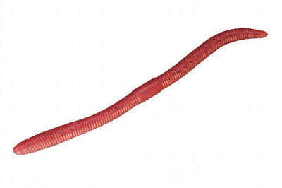 Jackall Worm Flick Shake 5.8inch Soil Earthworm | eBay
