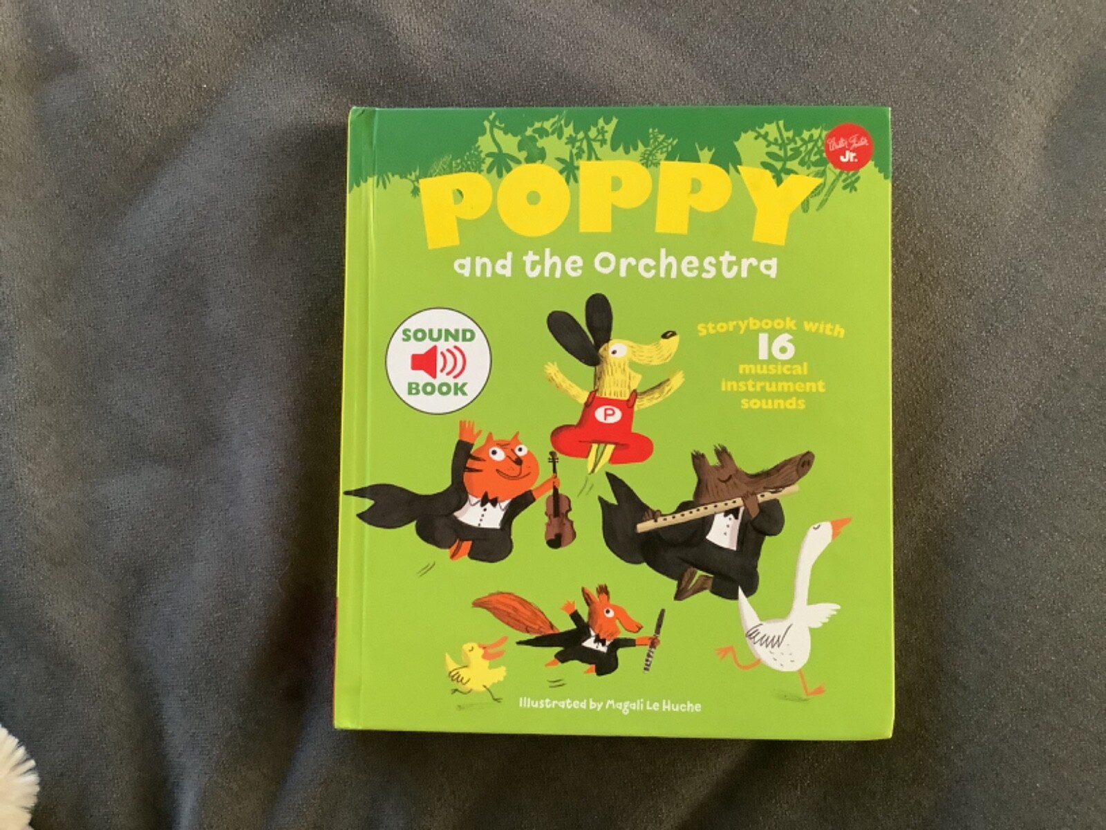 Poppy Sound Bks.: Poppy and the Orchestra : Storybook with 16 Musical ...