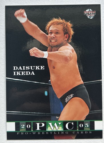 2005 BBM Pro Wrestling Daisuke Ikeda #224 | eBay