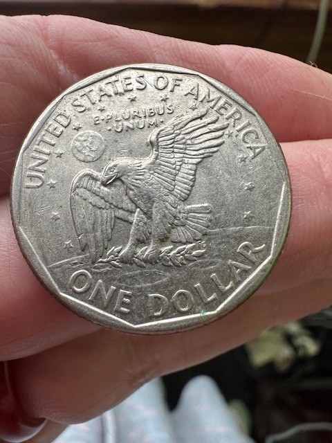 1980 D Susan B Anthony Liberty *One Dollar Coin* Circulated | eBay