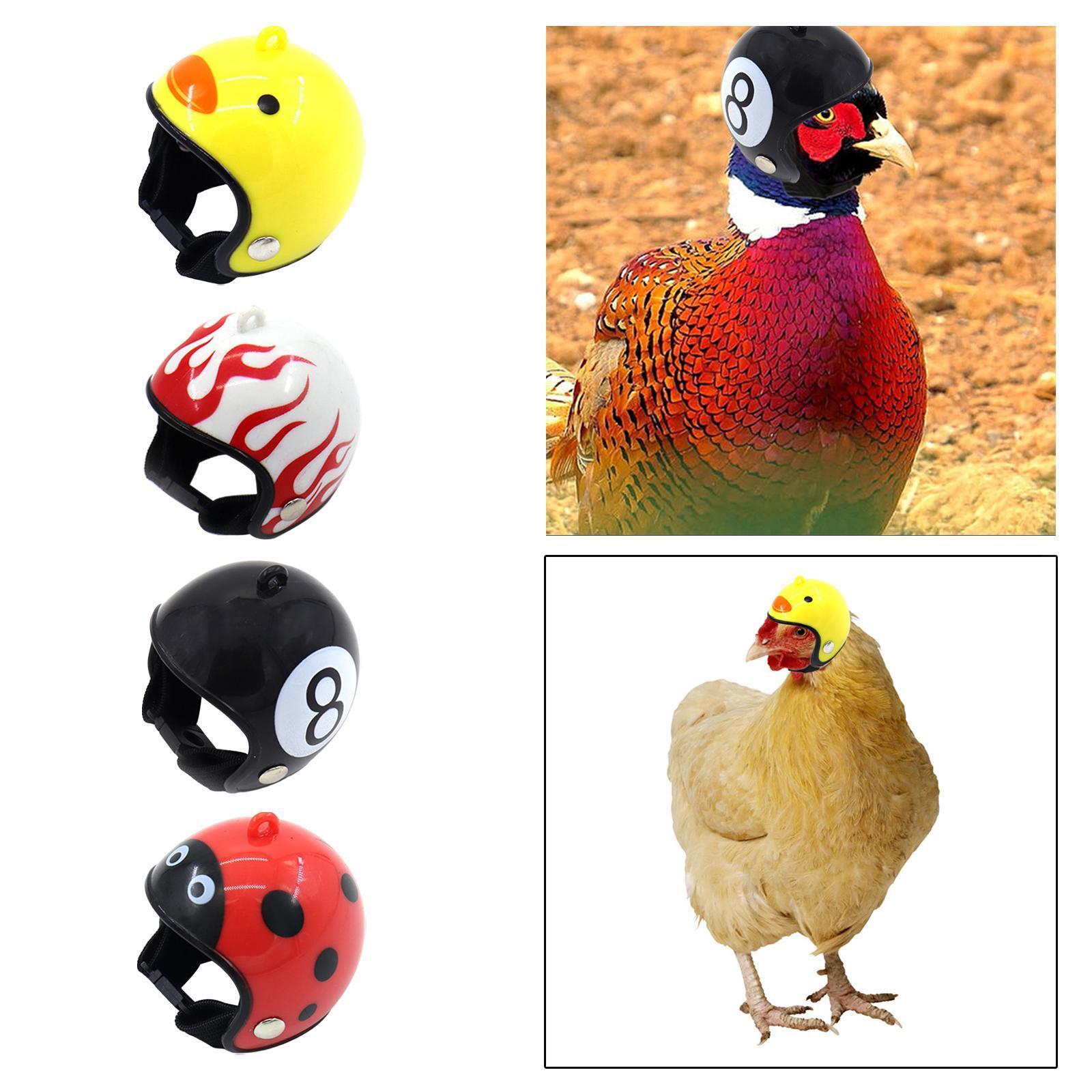 Chicken Hat Headwear Safety Headgear Funny Chicken Toys for Poultry ...