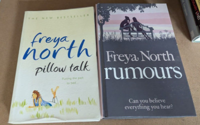 Freya North: Job lot collection of 2 LARGE PRINT adult fiction books ...