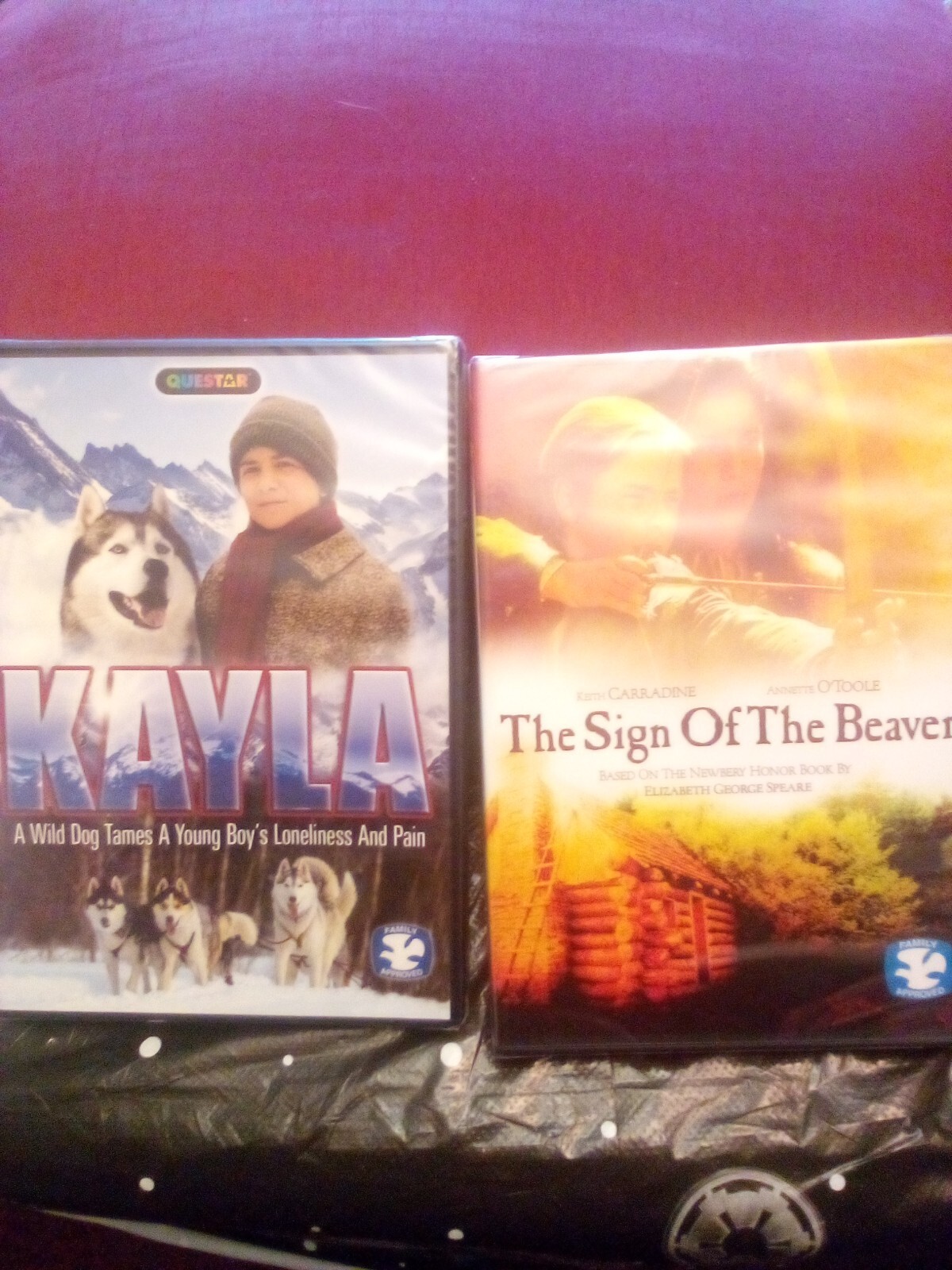 Kayla & The sign of the beaver 2 dvds. Family Approved | eBay