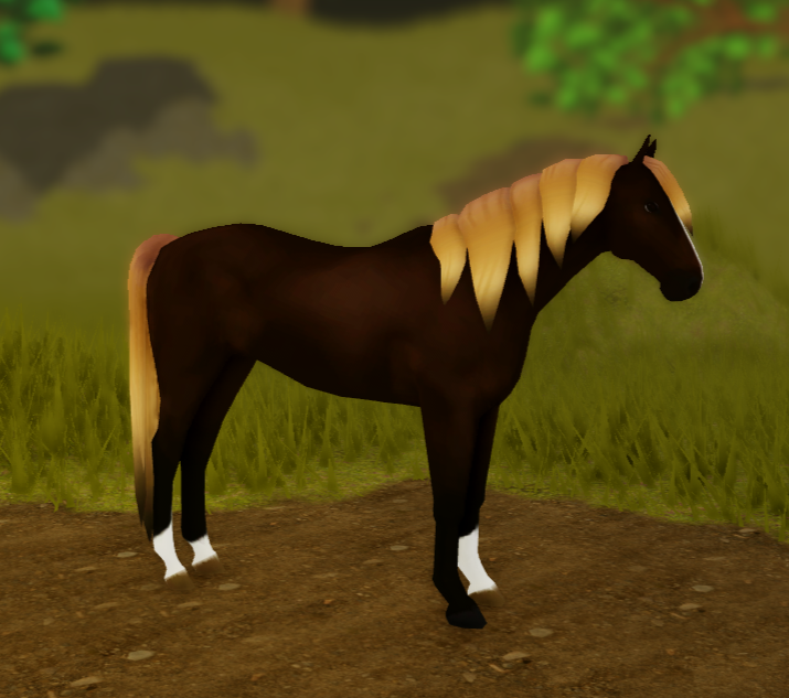 Wild Horse Islands Dusty fade Brown thoroughbred IUH ( READ DESC ...
