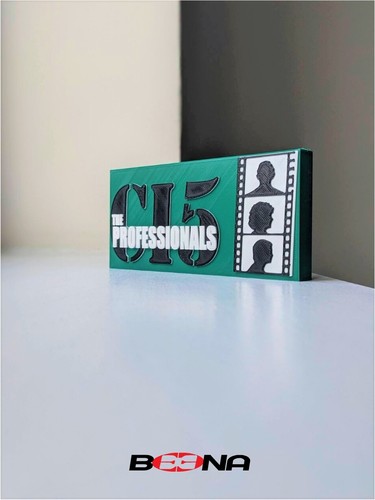 CI5 THE PROFESSIONALS logo display Beena Studio | eBay UK