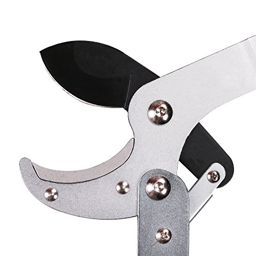 GARTOL Anvil Lopper 29 Inch Heavy-Duty - Compound Action Lopping Shears ...