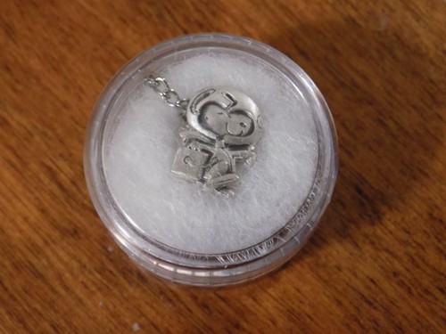 Silver Snoopy Award NASA Pin Rare Sterling R Possibly Flown | eBay