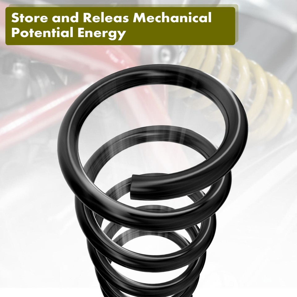 2x Coil Spring for Buick Special Chevrolet Bel Air Camaro One-Fifty ...