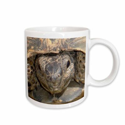 3dRose Tortoise Portrait - animals, ibera greek tortoise, land turtles ...