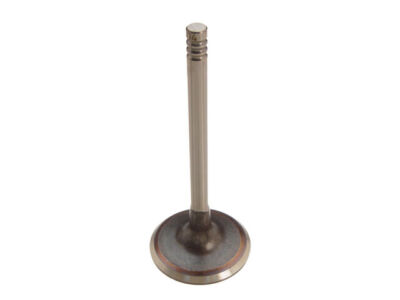 AE 14VM97W Intake Valve Fits 1987-1993 BMW 325i E30 | eBay