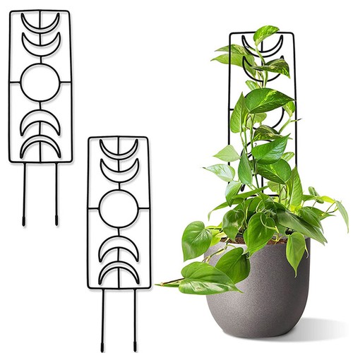 Plant Climbing Trellis Metal Flower Plant Support Frame for Indoor ...