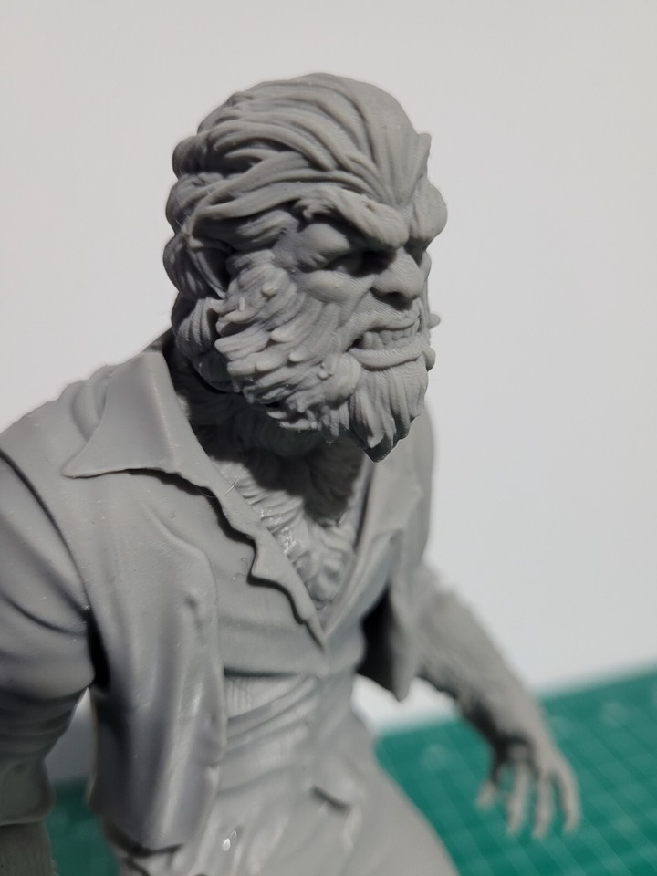 Wolfman 3d resin model kit (LR3d) 8 in high approx 1/9 scale | eBay