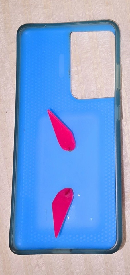 Loopy Case Samsung Galaxy S21 Ultra | eBay