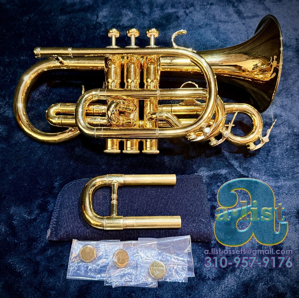 RARE FLIP OAKES WILD THING Bb CORNET—24K—FLAWLESS—INCREDIBLE CUSTOM ...