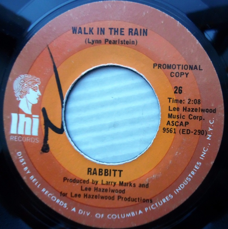 RABBITT 1970 pop psych 45 BUBBLE GUM TRAIN b/w WALK IN THE RAIN e8000 ...