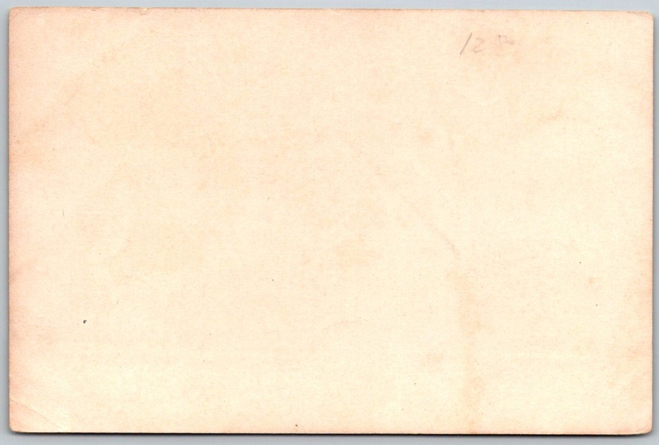Antique Postcard Mount Lowe Railway Scenic Views Altadena, CA 1910s | eBay