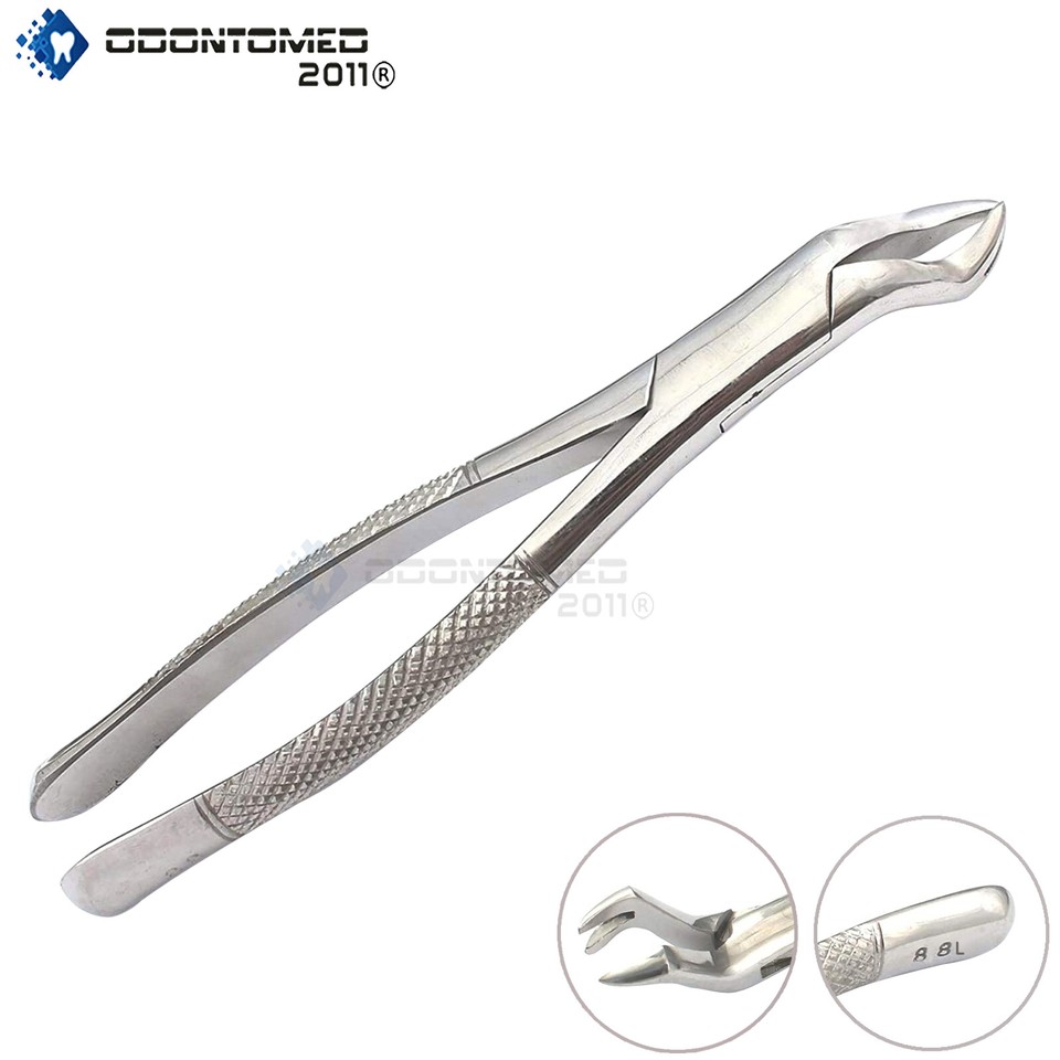 Dental Extracting Forcep 88L Molar Tooth Extraction Surgical Tools | eBay