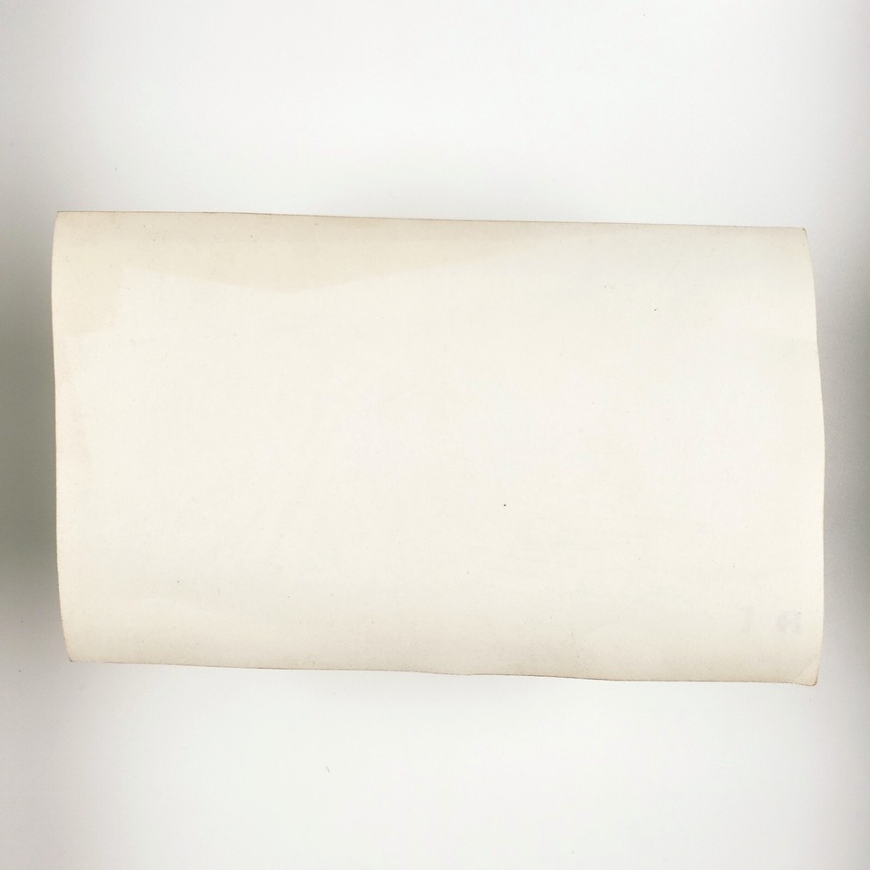 Mystery Forest Log Pile Photo 1920s Antique Forest Logging Vintage ...