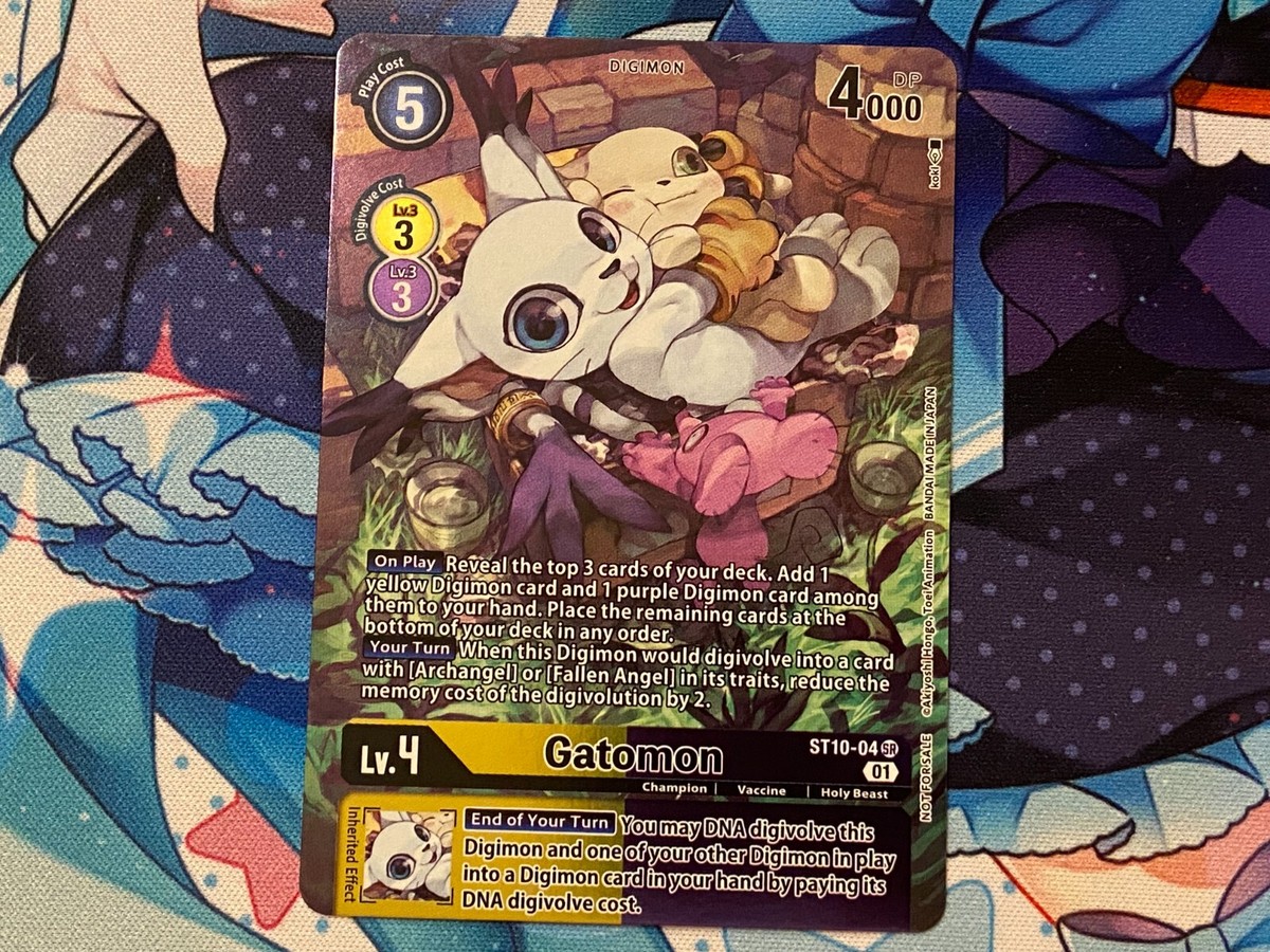 Digimon Gatomon And Veemon