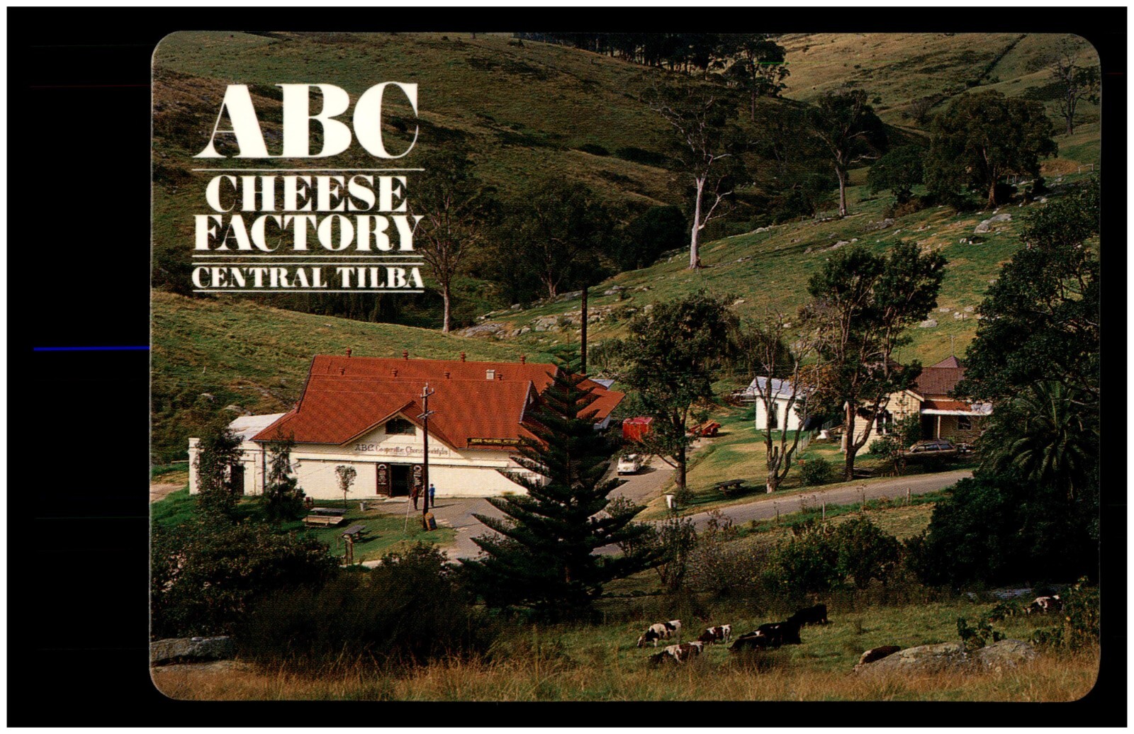 Postcard RPPC (Murray Views) - ABC Cheese Factory, Tilba, N.S.W. | eBay