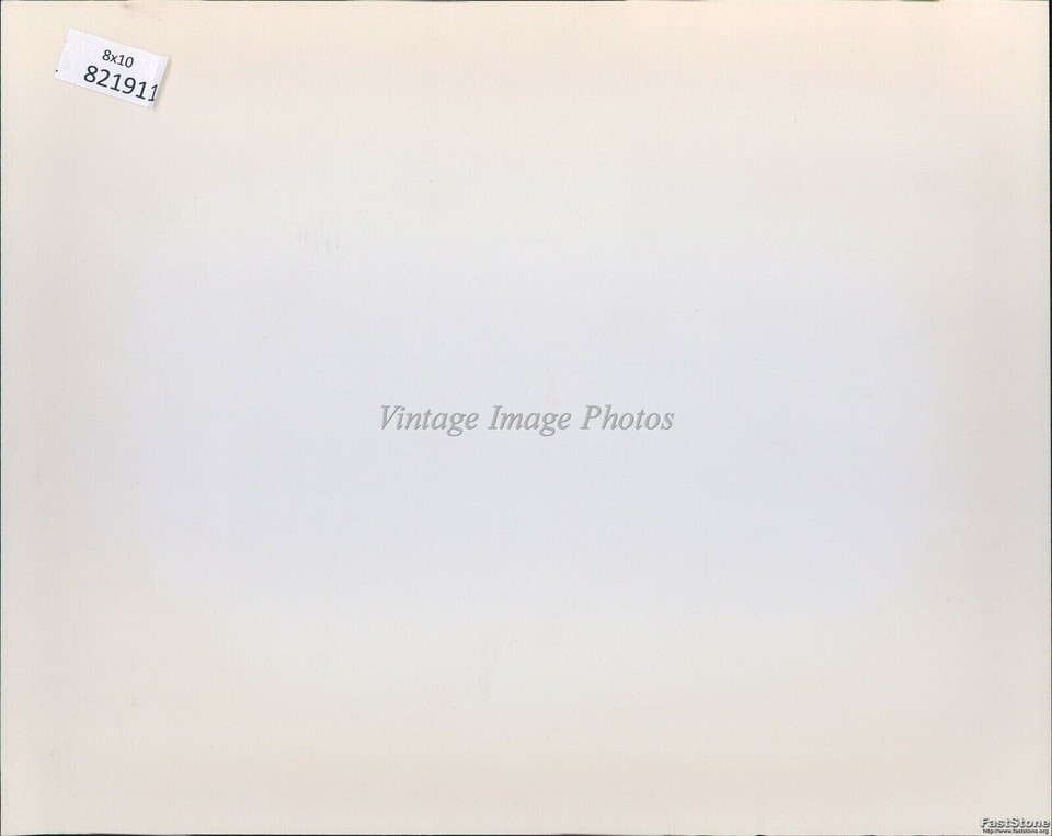 1987 Photo Background Singer Teresa Trull With Bonnie Hayes Band ...