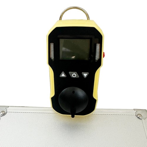 Professional PH3 Gas Detector Digital Phosphine Alarm Detetcor 0-20ppm ...