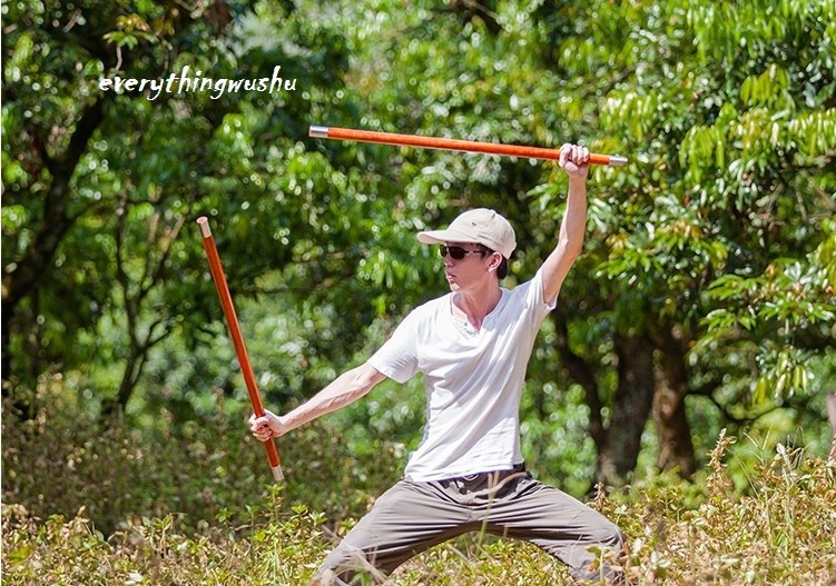 Rosewood Hardwood Bo Staff Kungfu Sticks Portable Jo Staff | eBay