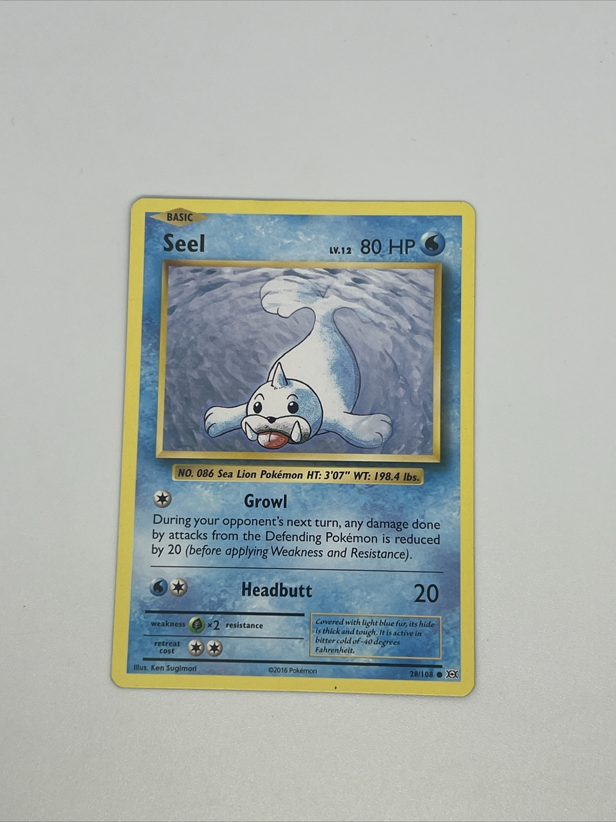 Pokémon TCG Seel Evolutions 28/108 Regular Common | eBay