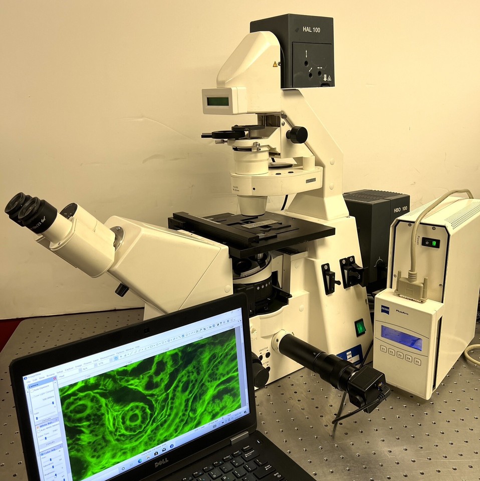 Zeiss Axiovert 200 Inverted Microscope ATTO Fluorescence Phase Contrast ...