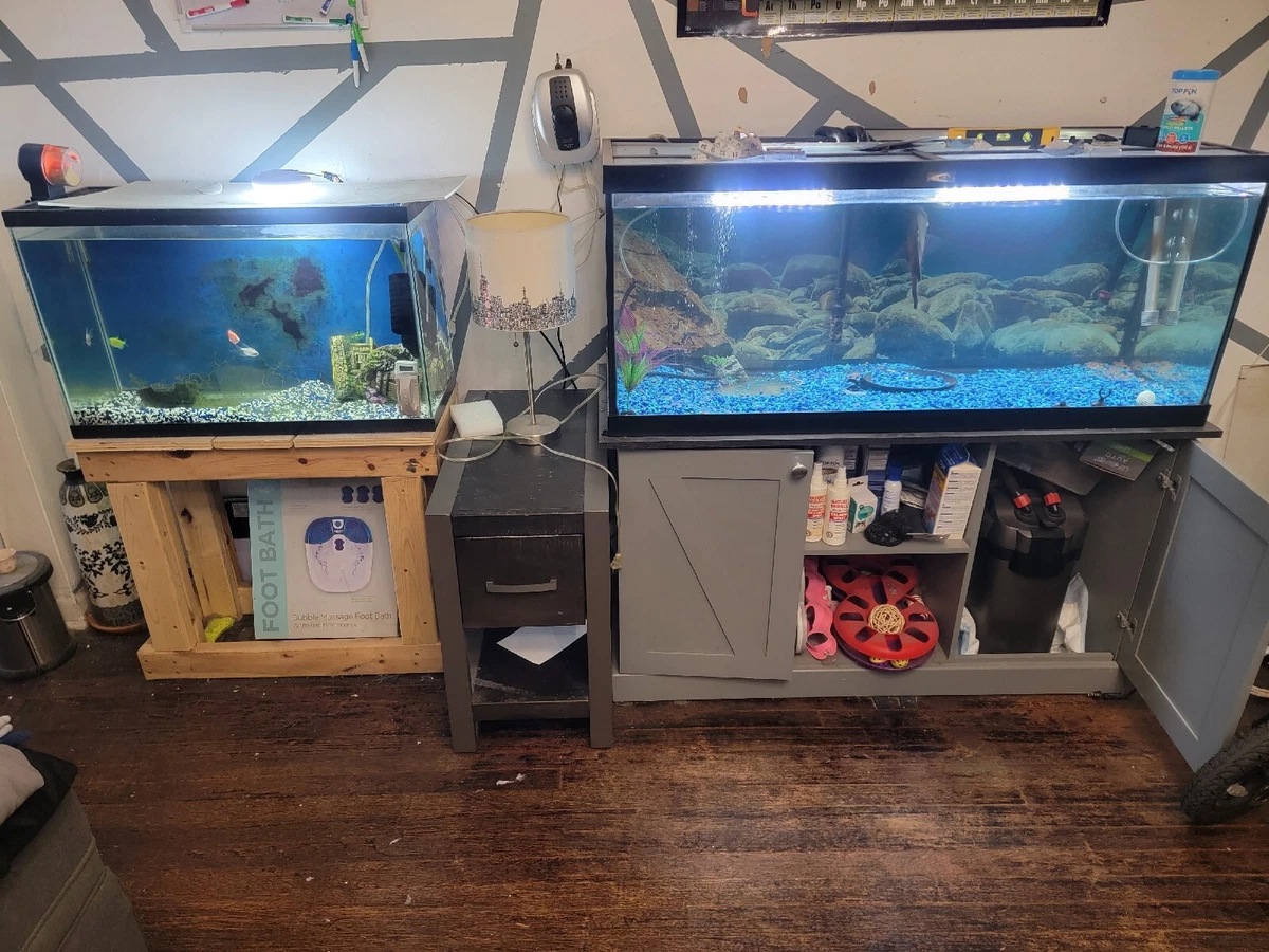 30 Gallon Fish Tanks