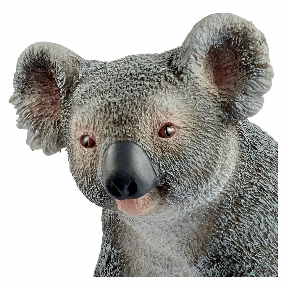 Schleich Wild Life 14815 Koala Bear Collectible Detailed Toy Figure ...