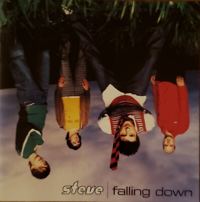 🇺🇸💿 Steve, Falling Down, CCM, CD BINDER PAGE WITH PURCHASE, HOLDS 8 | eBay