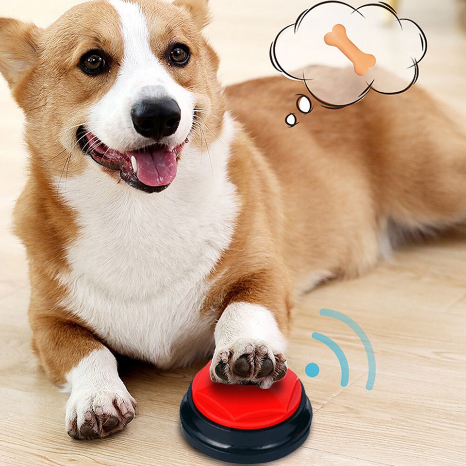 Pet Talking Toys Recordable Dog Talking Buttons Portable for Pet ...