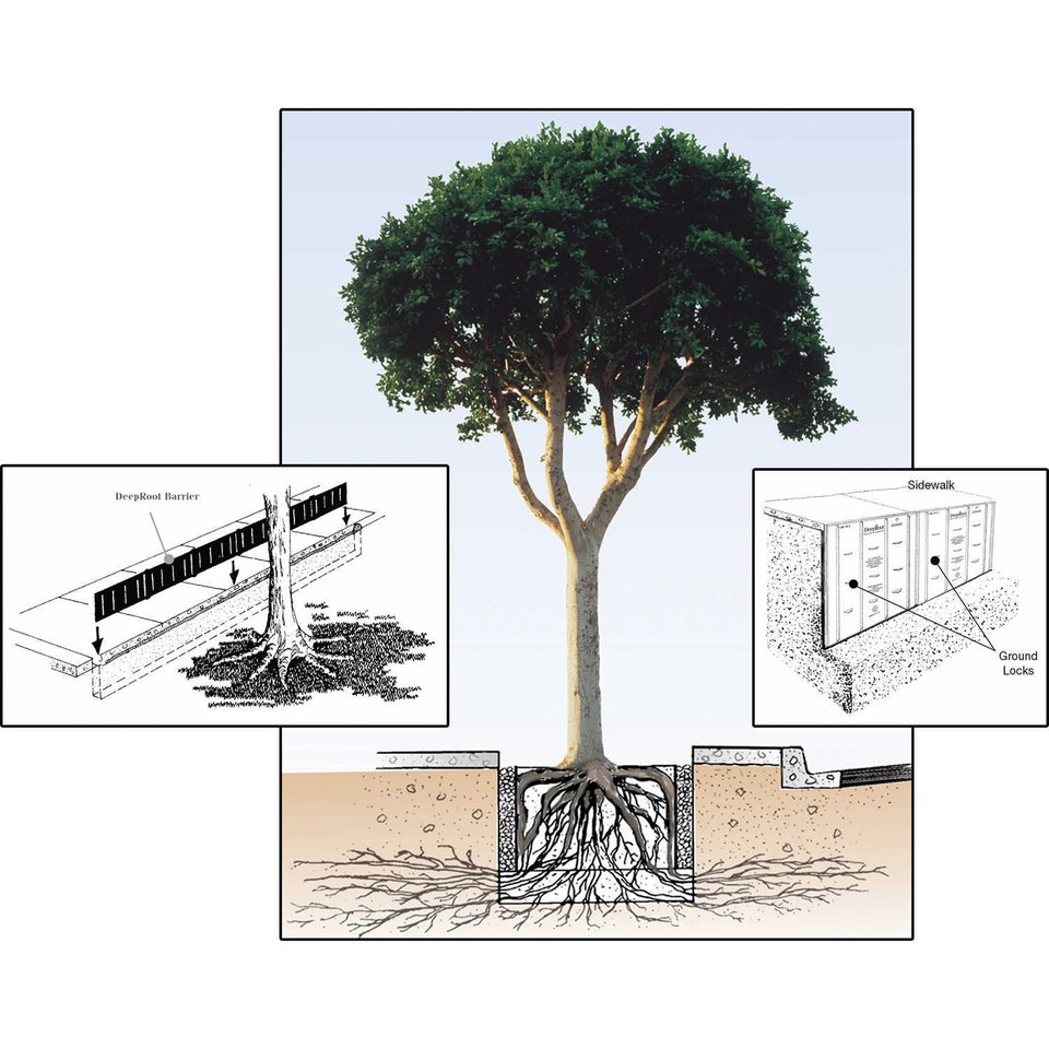 Universal Root Barrier Panels 18”H x 24”L Panels Carton of 26 | eBay