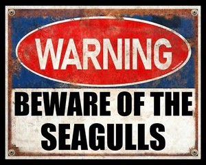 WARNING BEWARE OF THE SEAGULLS SEASIDE COAST METAL PLAQUE TIN WALL SIGN ...