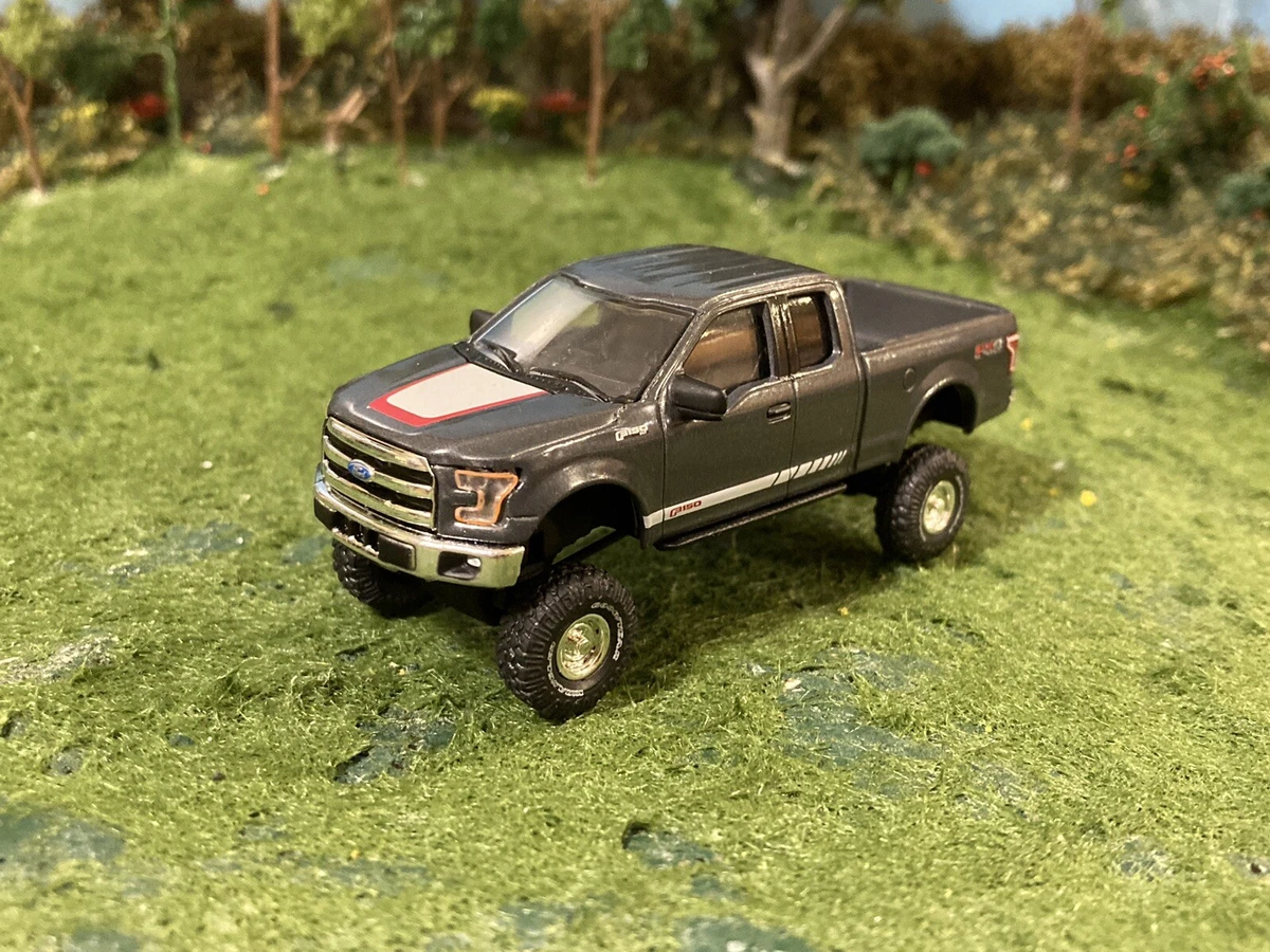 Custom F 150 Trucks