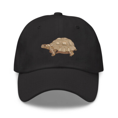 Desert tortoise embroidered black cap, Cool gift for anyone, summer cap ...