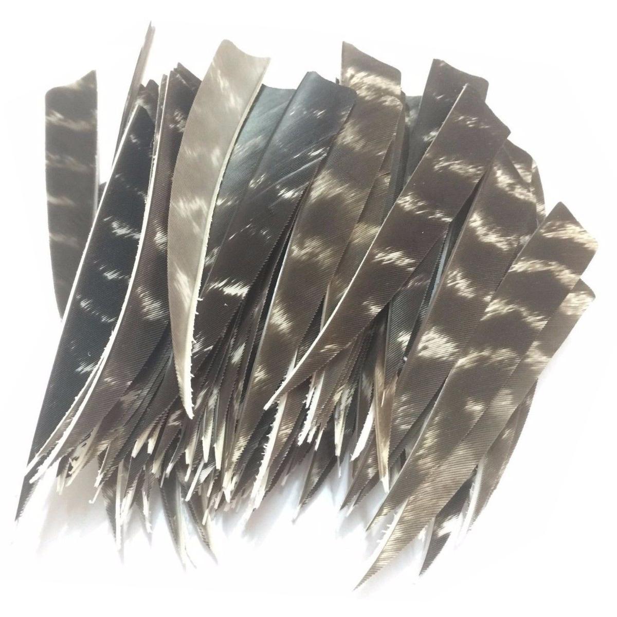 Archery 5" Shield Cut Feathers Natural Turkey Feathers Right Wing DIY ...