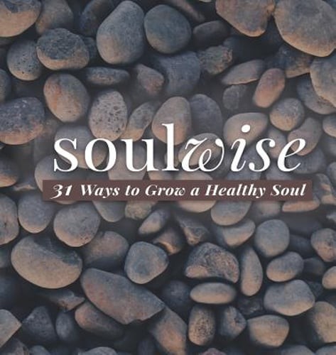 Soulwise: 31 Ways to Grow a Healthy Soul by Caron Chandler Loveless: New 9780998948003| eBay