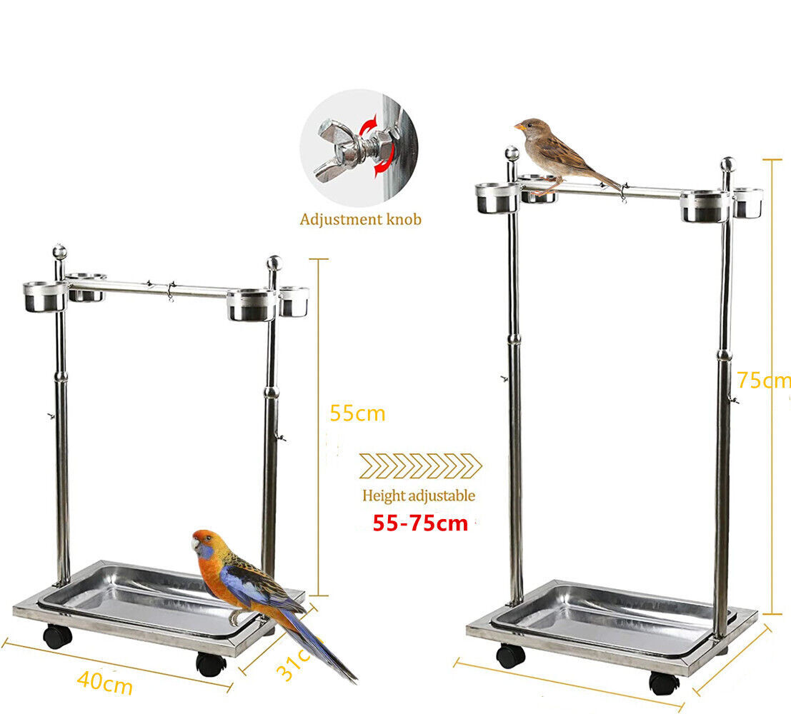 Parrot Stand Holder Stainless Steel Bird Cage Shelf Rack Contains ...
