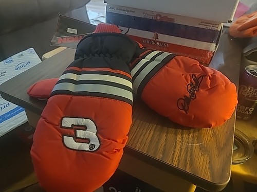 NWT Vintage 1998 NASCAR Dale Earnhardt 3 Red Mittens | eBay UK