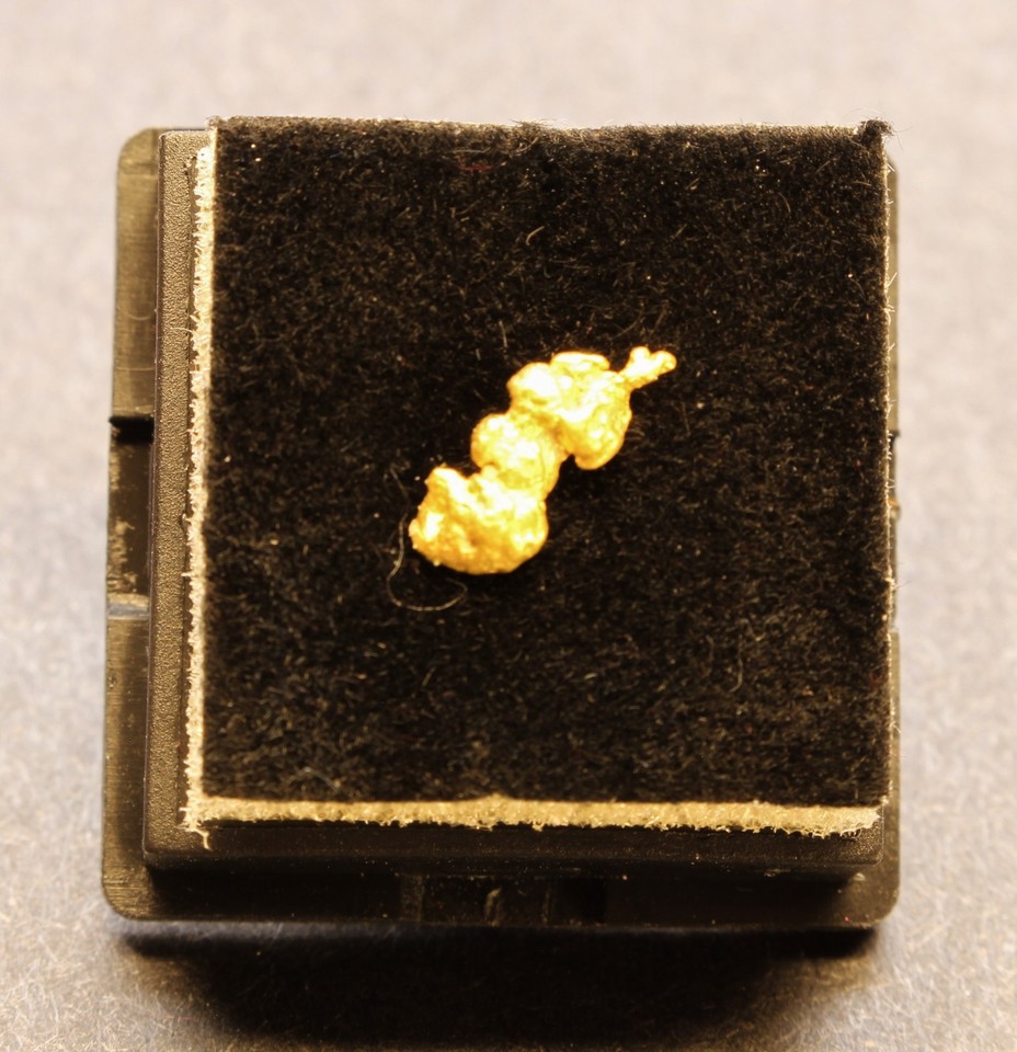 Gold nugget Small nugget in box 0.5 Gram Rose Creek M.D. Pershing Co ...